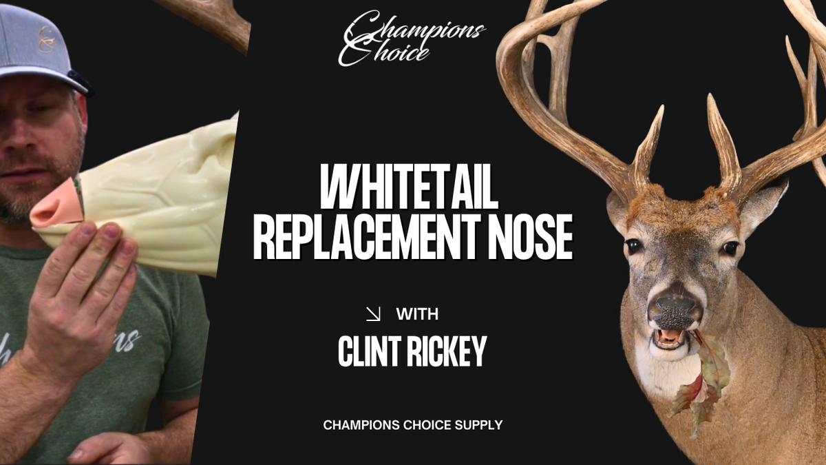 Whitetail Deer Replacement Nose
